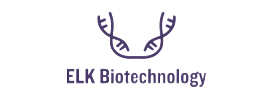 ELK – Celtic Diagnostics