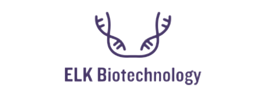 ELK – Celtic Diagnostics